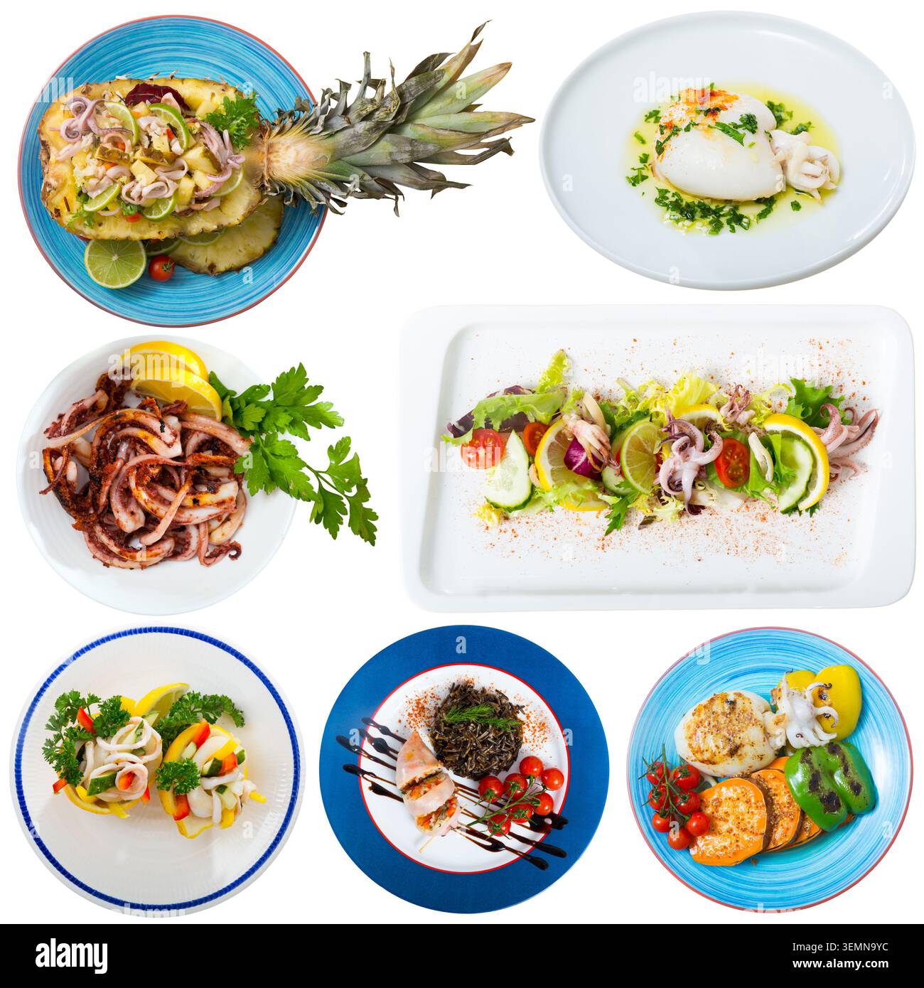 Various dishes of squid and cuttlefish with vegetables Stock Photo - Alamy