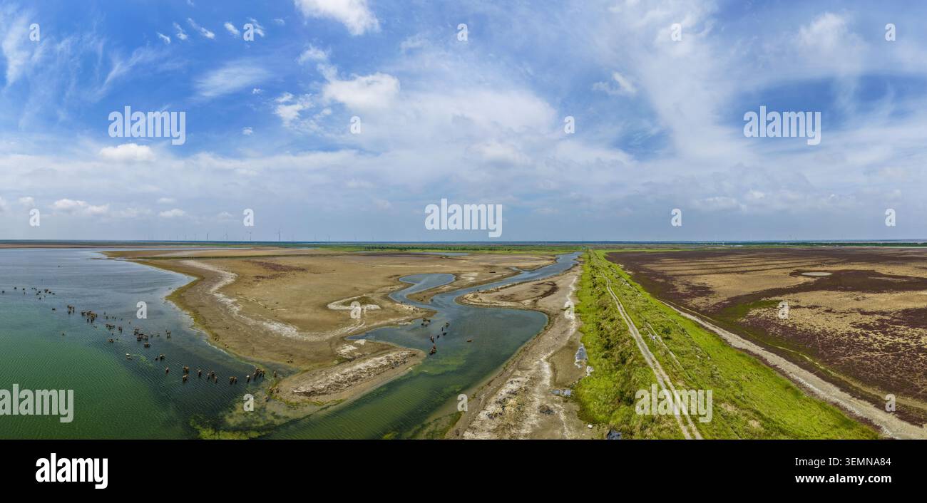 Wild elks forage and roam freely in the lush Tiaozini Wetland under ...