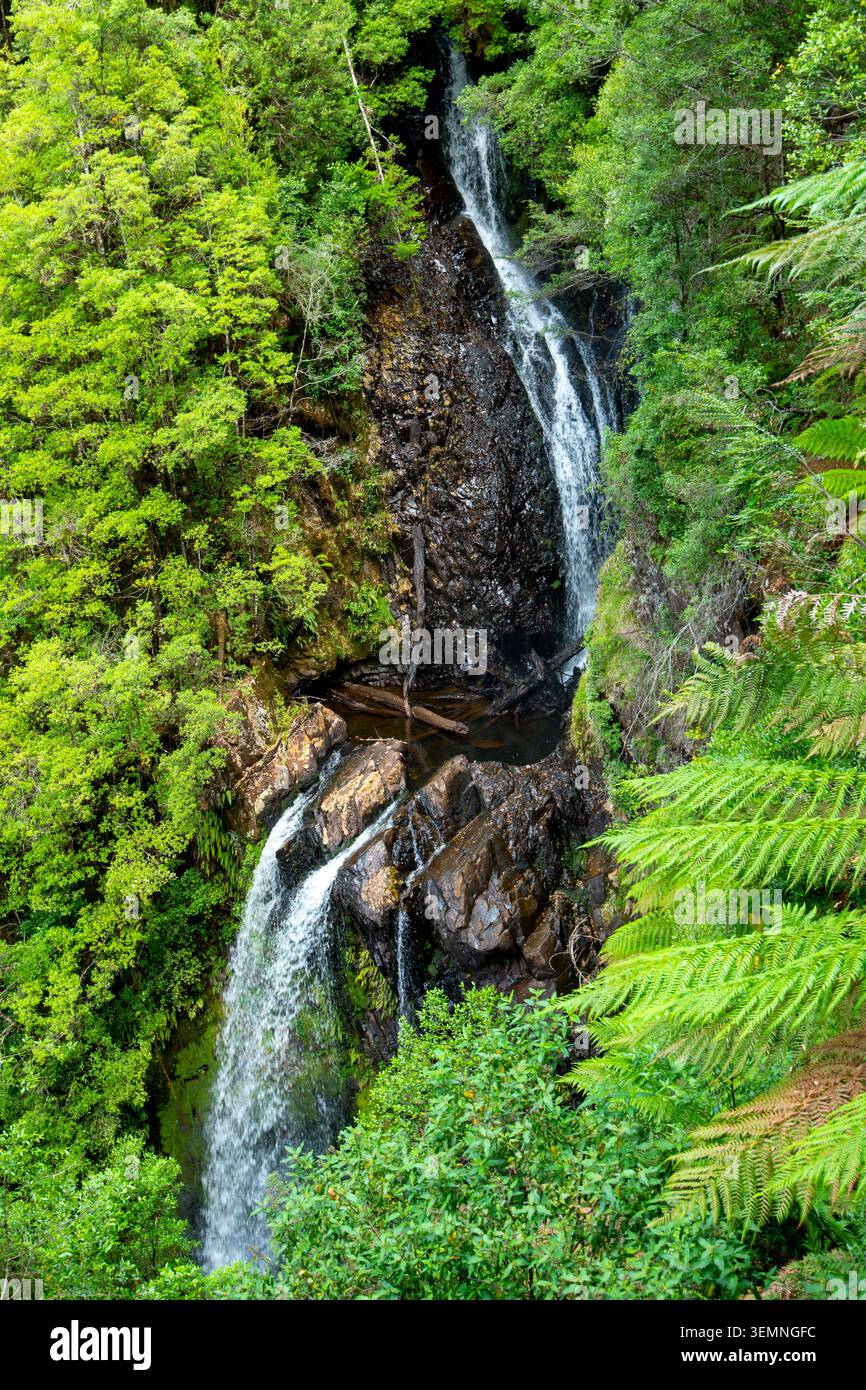 Philosopher Falls in Waratah - Tasmania Stock Photo - Alamy