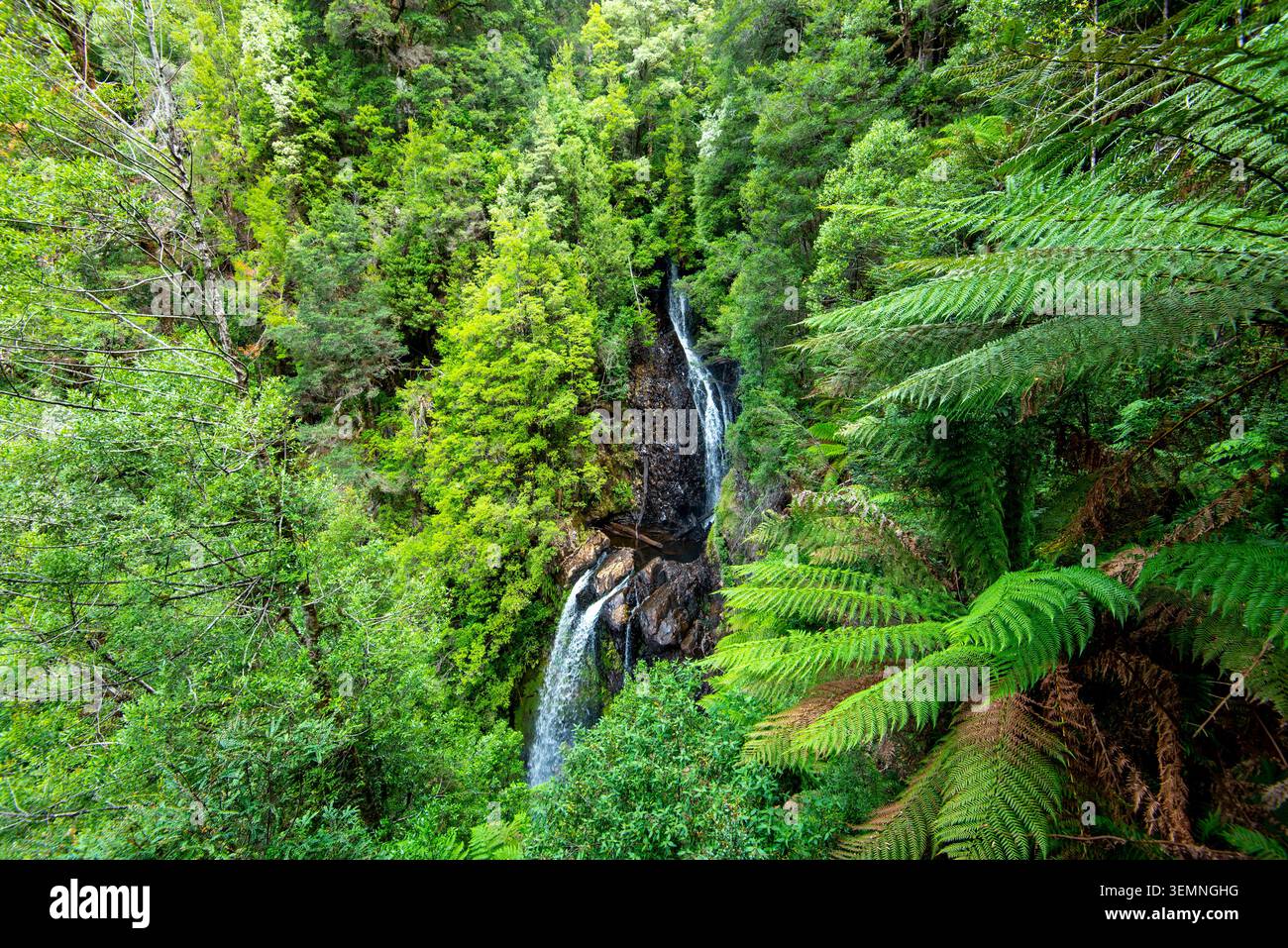 Philosopher Falls in Waratah - Tasmania Stock Photo - Alamy