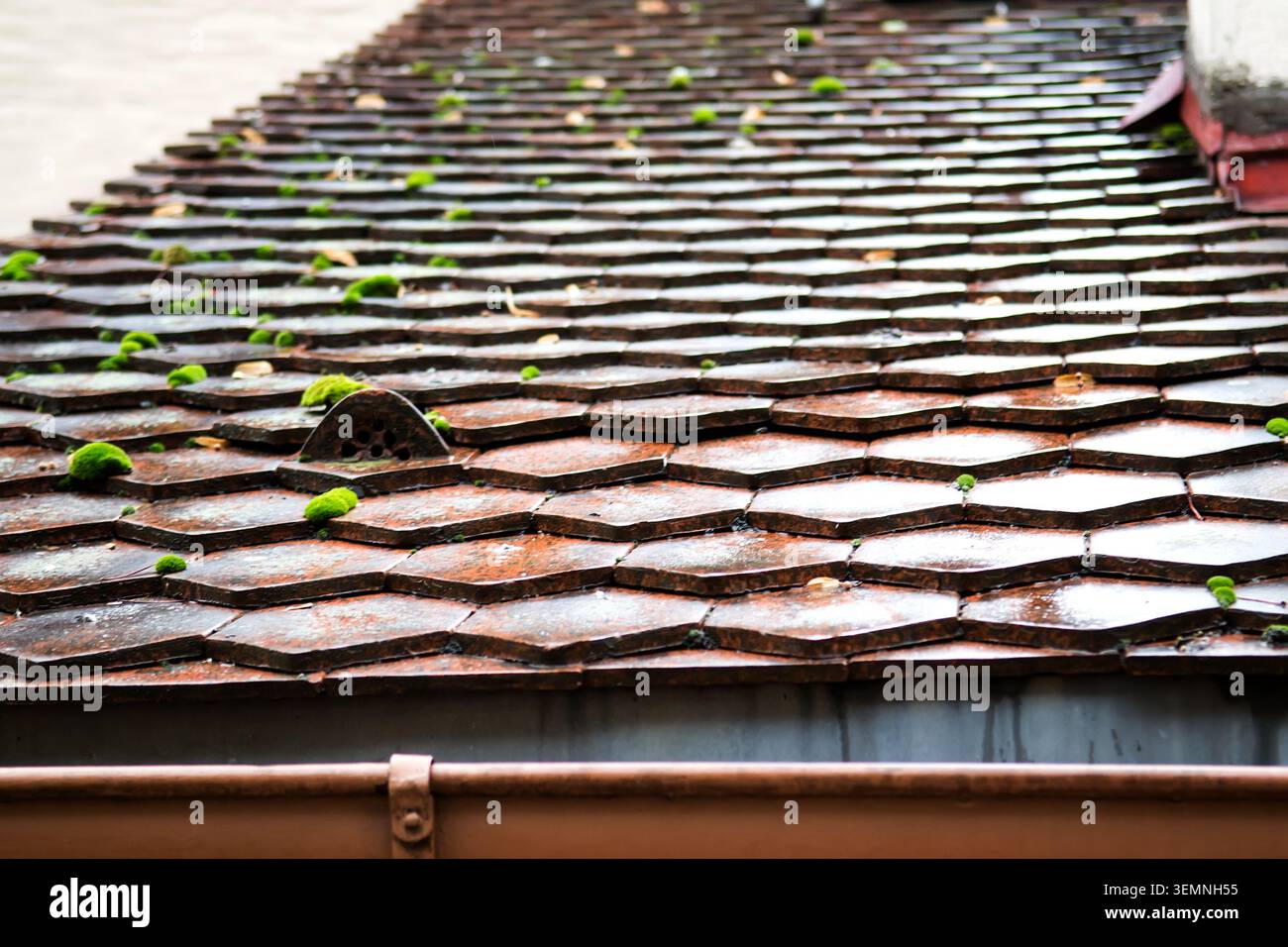 Old roof tiles with moss exterior details Stock Photo - Alamy