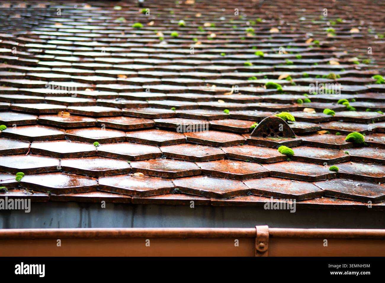 Old roof tiles with moss exterior details Stock Photo - Alamy