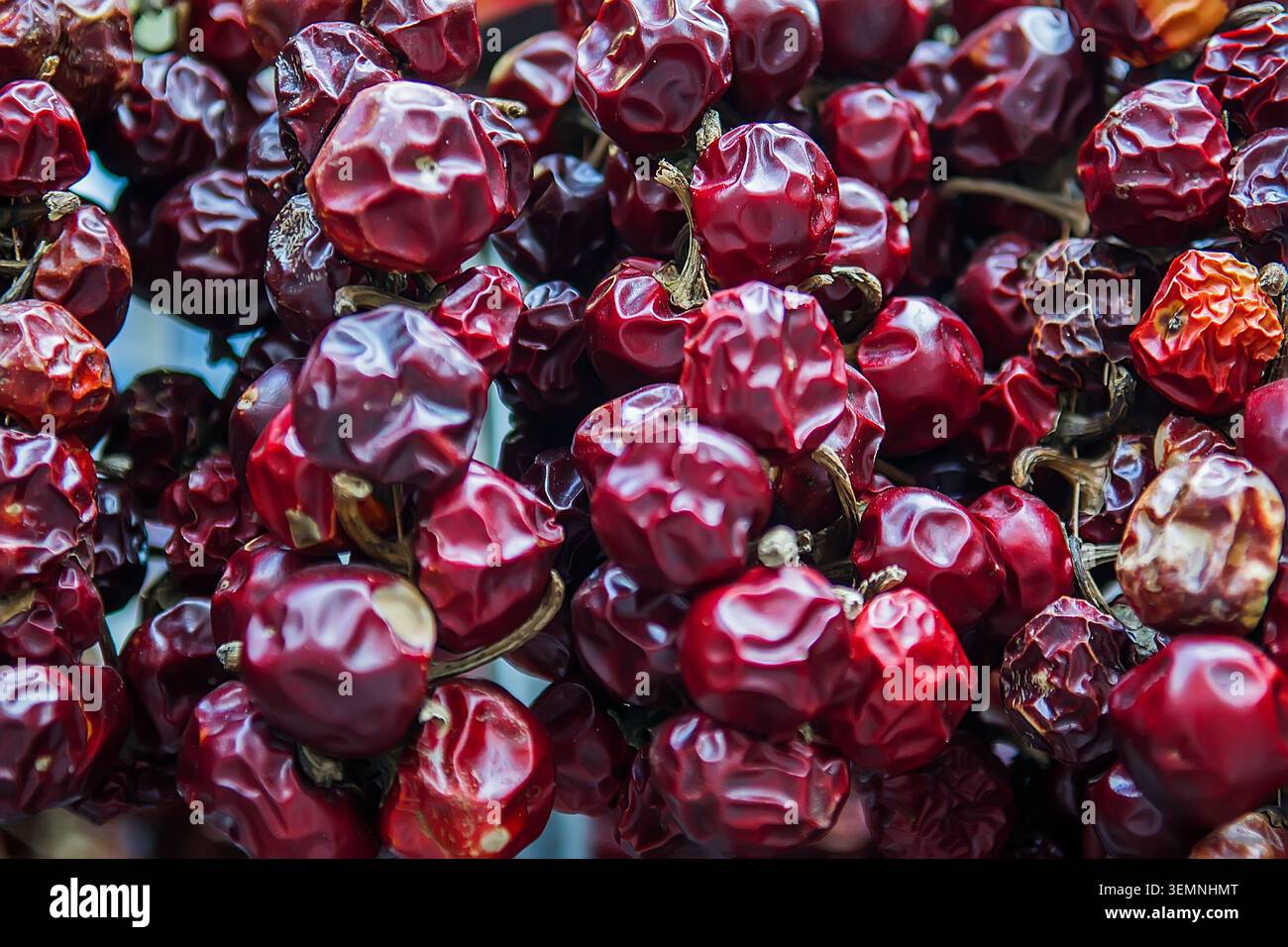 CloseUp of dried red peppers hanging on a rope in the market. Selective ...