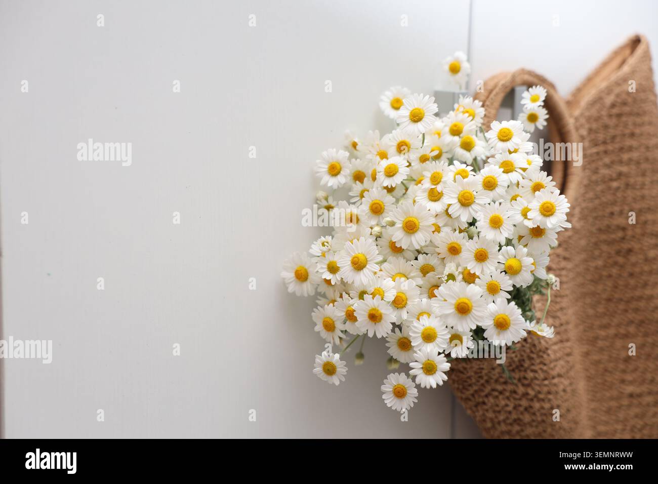Beautiful chamomile flowers in bag on white cabinet, closeup. Space for ...