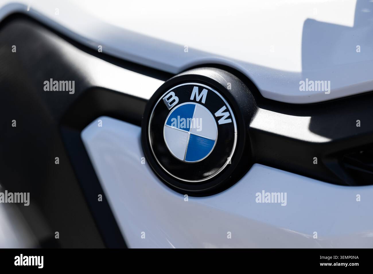 SYMBOL - 07 June 2026, Baden-Württemberg, Niedereschach: The BMW logo ...
