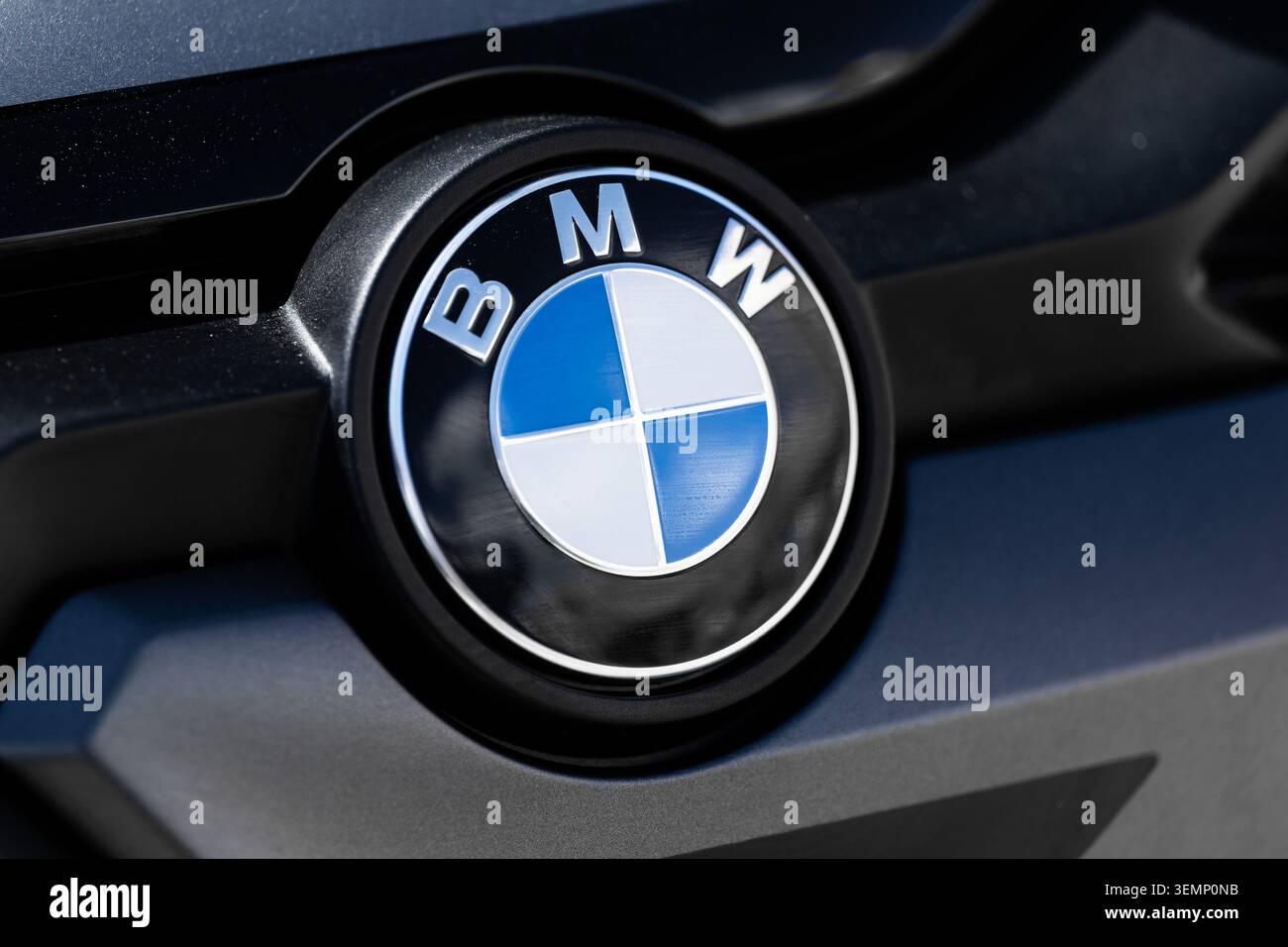 SYMBOL - 07 June 2026, Baden-Württemberg, Niedereschach: The BMW logo ...