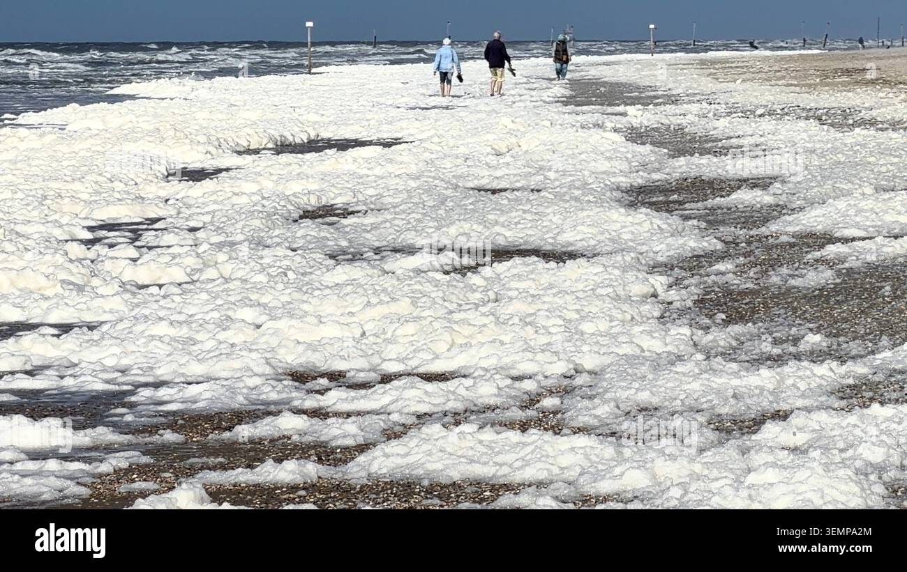 06 June 2026, Lower Saxony, Norderney: Foam has formed after the spring ...