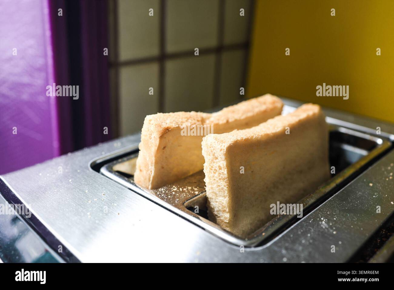 Stockbilder 06/2026 Toaster mit Toastbrot *** Stock photos 06 2026 ...