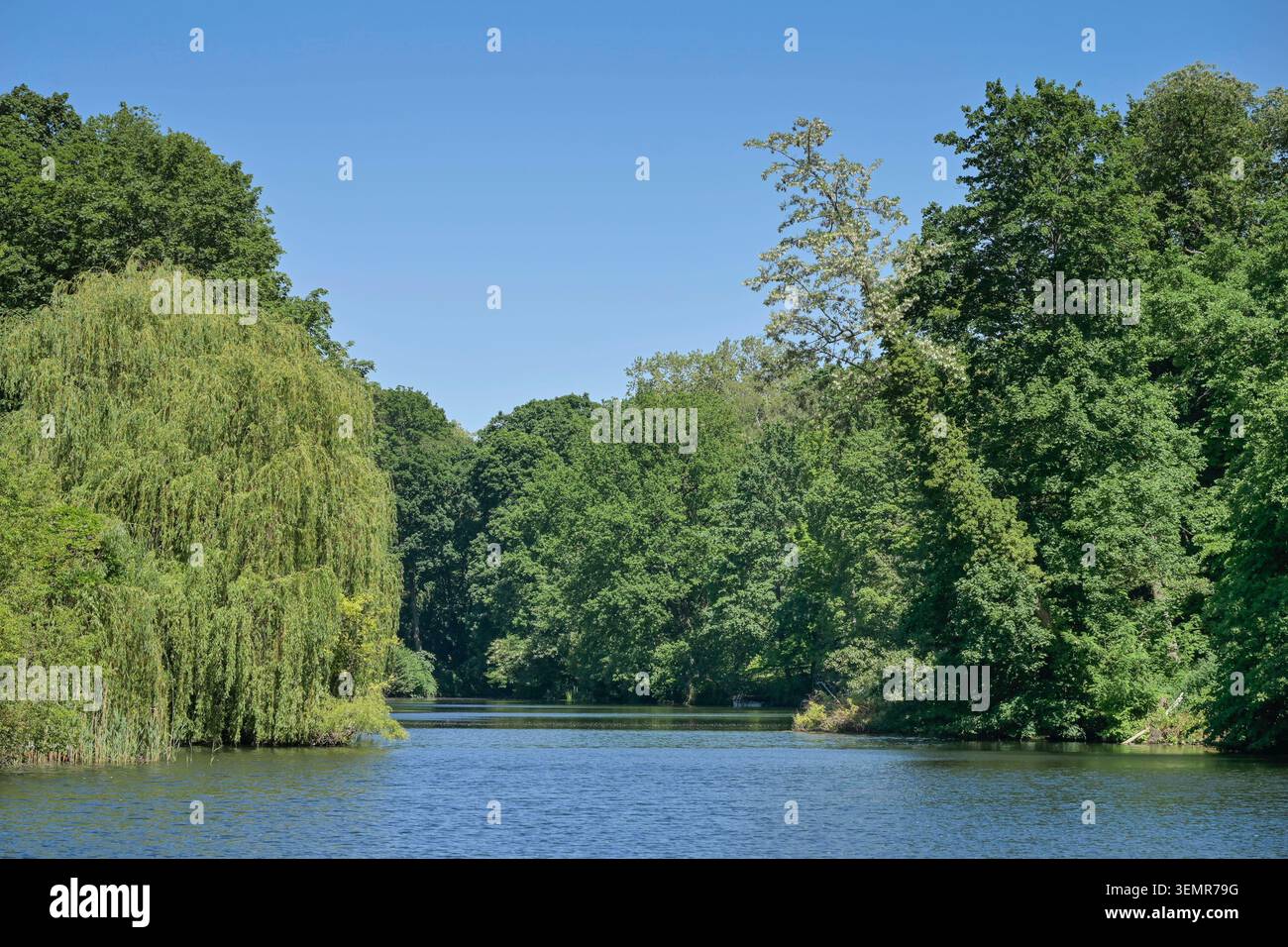 Dianasee, Grunewald, Bezirk Charlottenburg-Wilmersdorf, Berlin ...