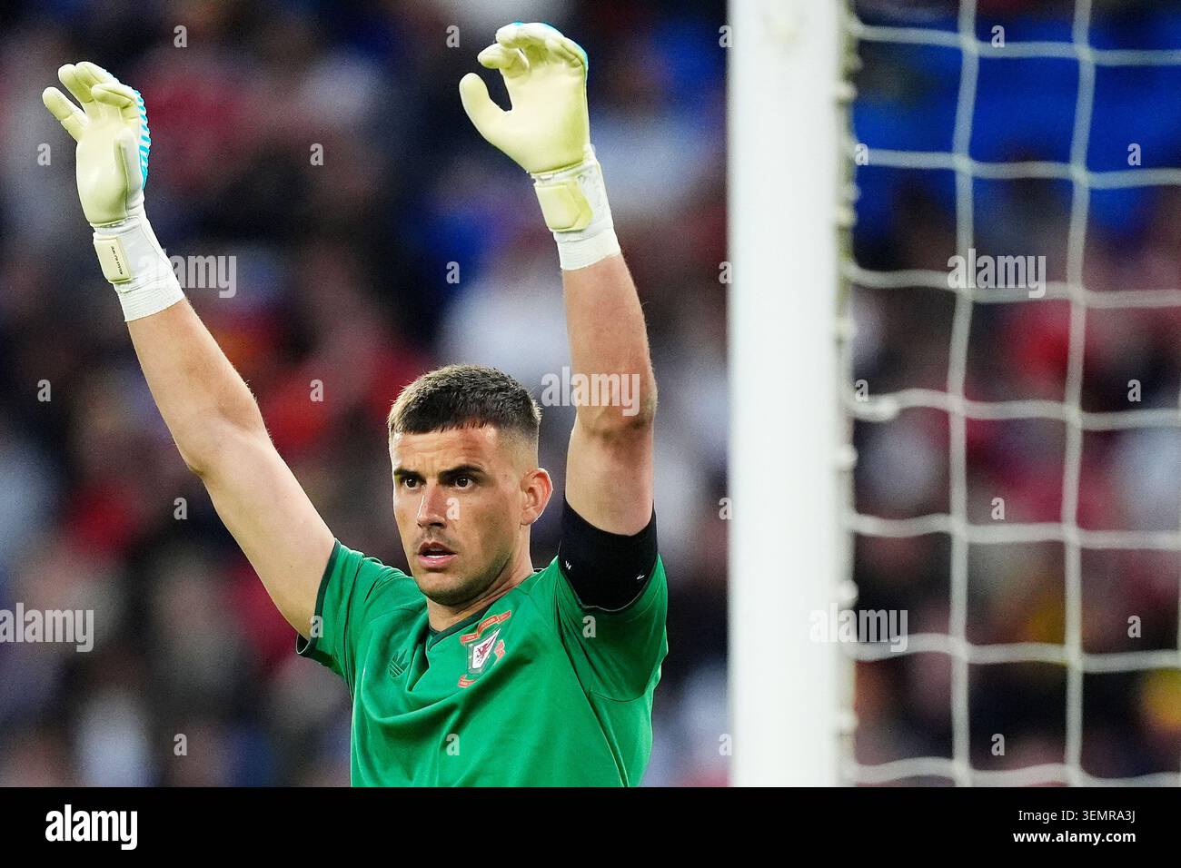Wales goalkeeper Karl Darlow during the international friendly at the ...