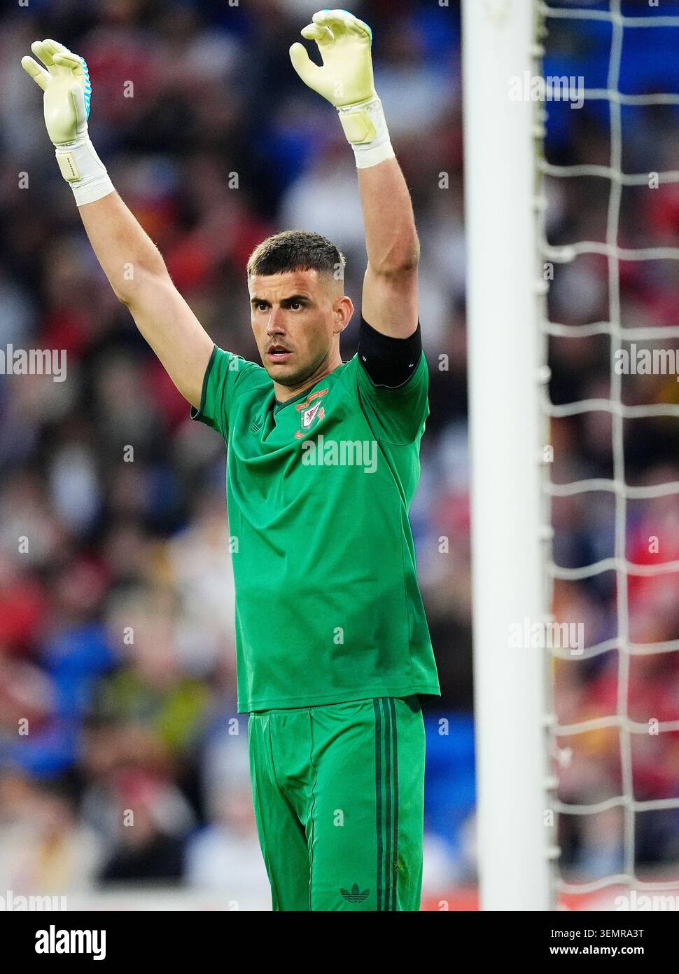 Wales goalkeeper Karl Darlow during the international friendly at the ...