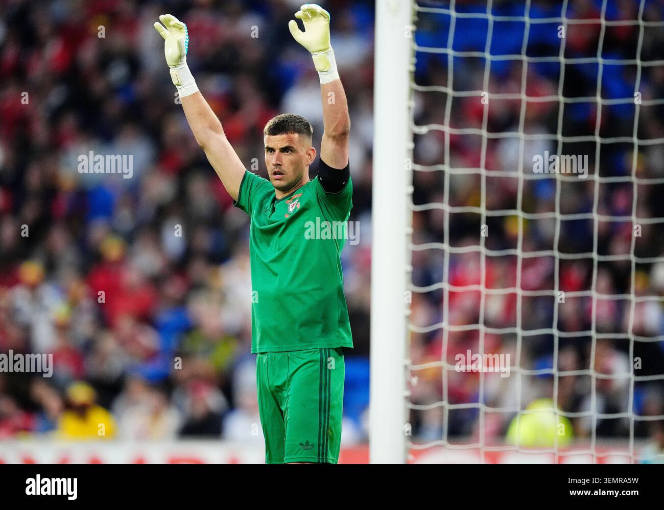 Wales goalkeeper Karl Darlow during the international friendly at the ...
