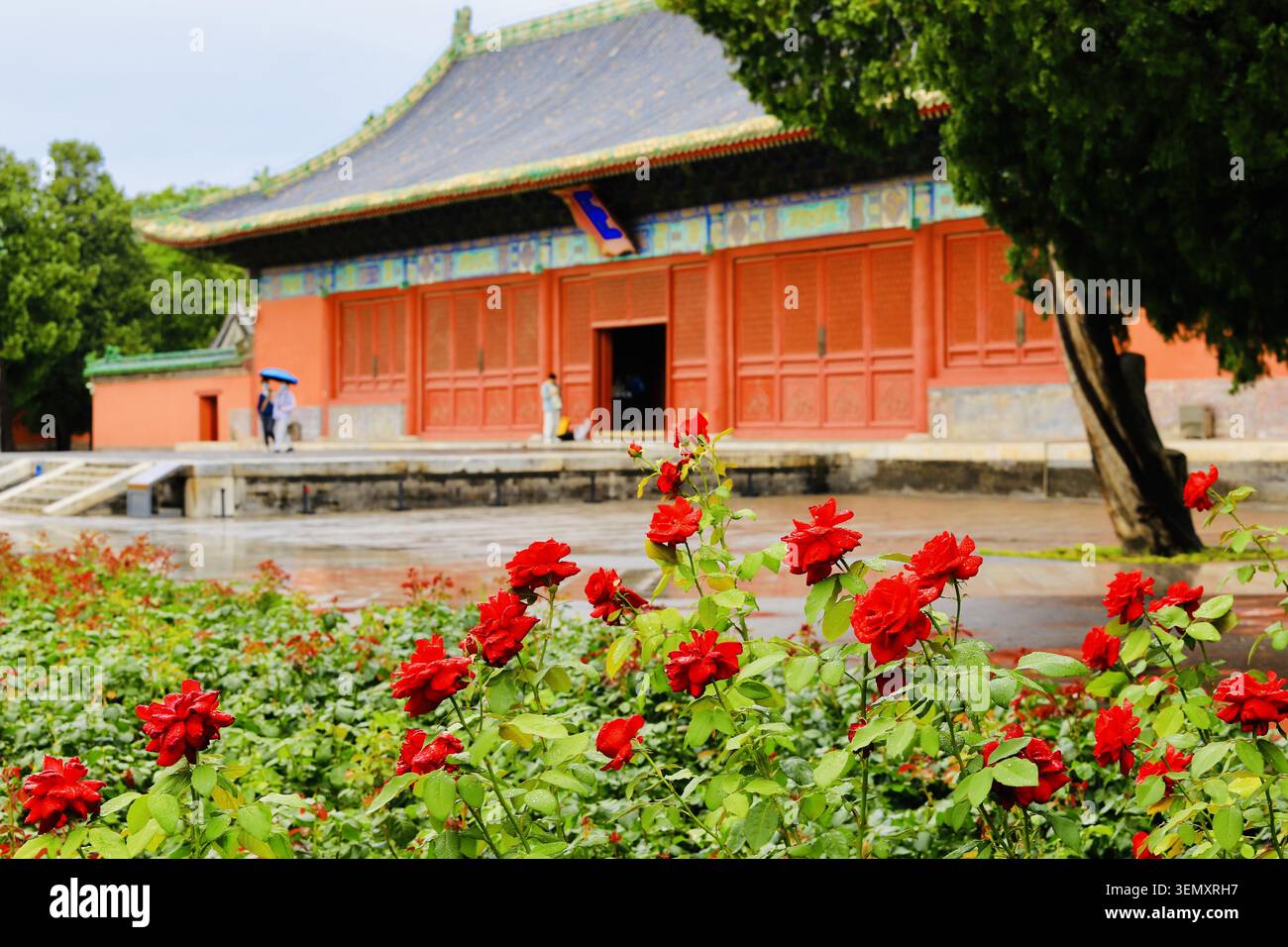 Visitors stroll in Beijing Ancient Architecture Museum during summer ...