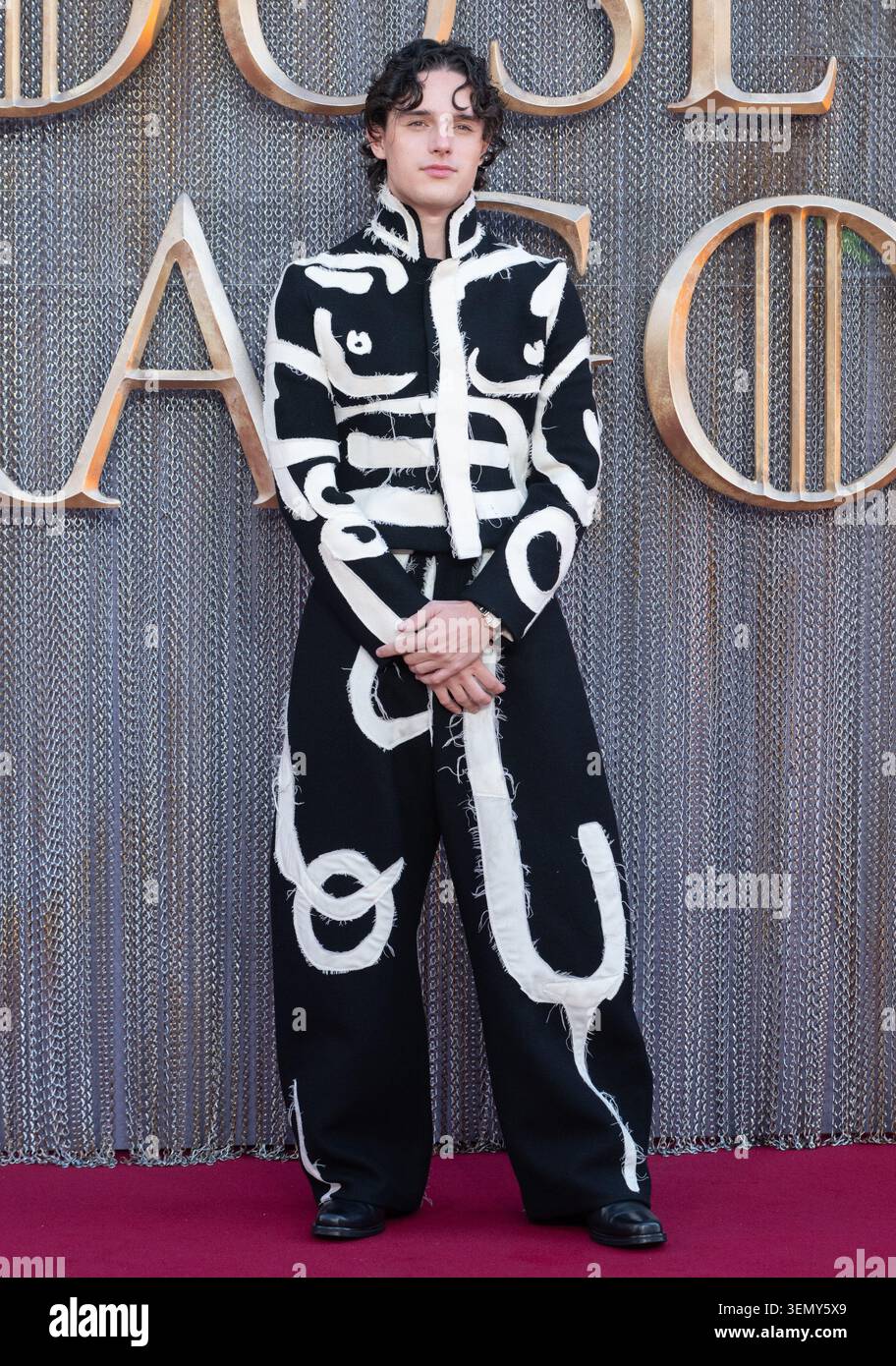 Harry Collett attends "House Of The Dragon" Series 3 World Premiere at ...
