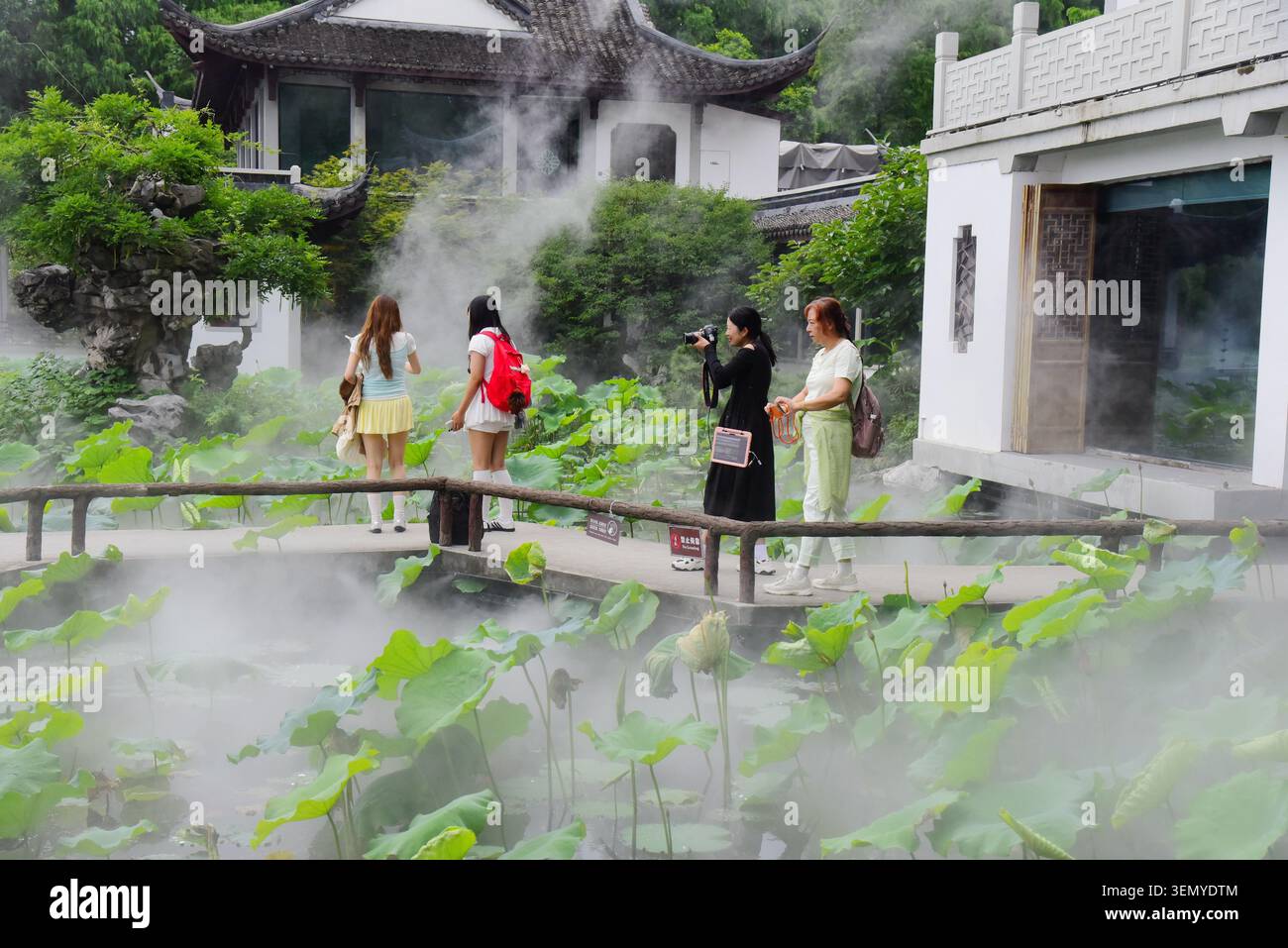 Visitors enjoy the misty lotus ponds at Quyuan Fenghe Scenic Area in ...