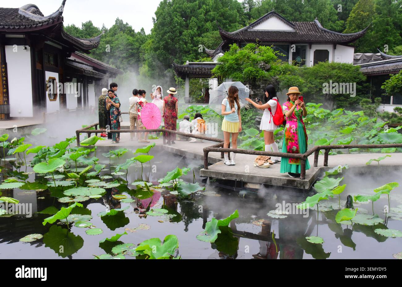 Visitors enjoy the misty lotus ponds at Quyuan Fenghe Scenic Area in ...