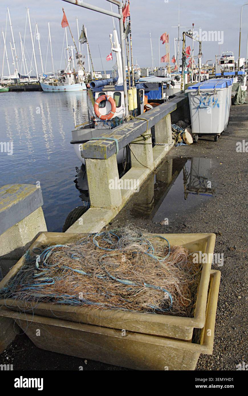 DRAGOR/COPENHAGEN /DENMARK- 09 February 2014 -Dragordragørsmall fishery ...