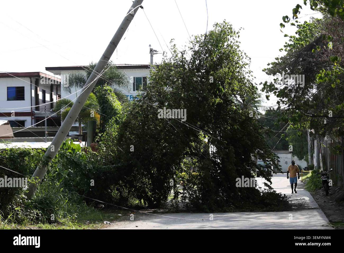 A man walks past a toppled electric post following an earthquake in ...
