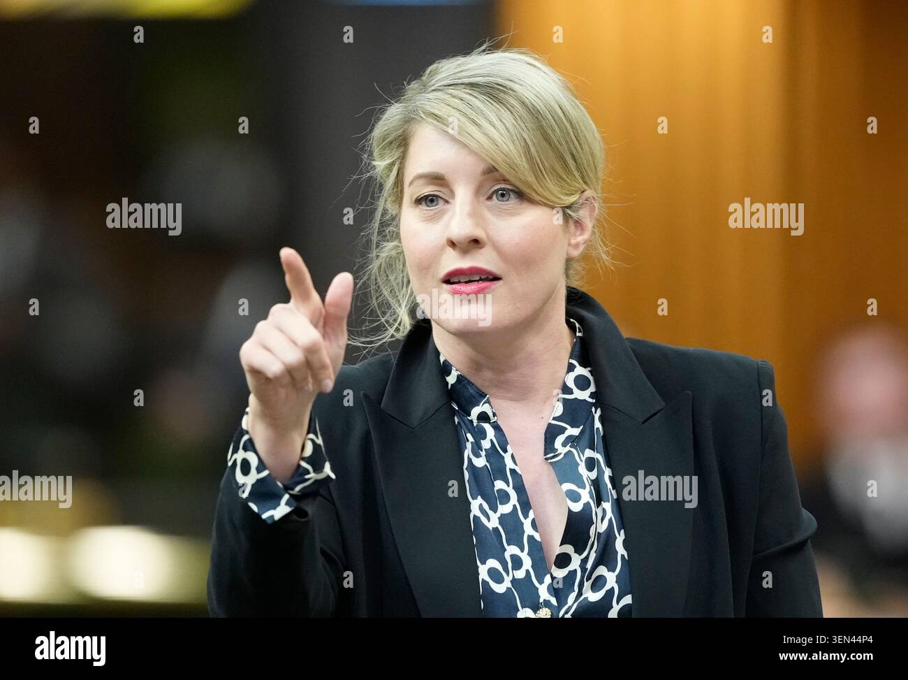 Industry Minister Melanie Joly rises during Question Period on ...