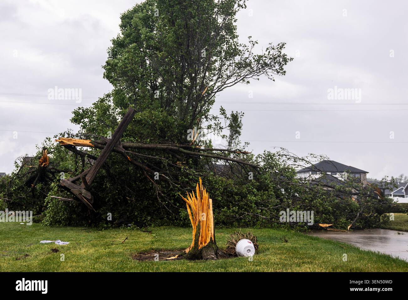 Storm damage is seen near Sarle Road and Prairie View Court in Freeland ...