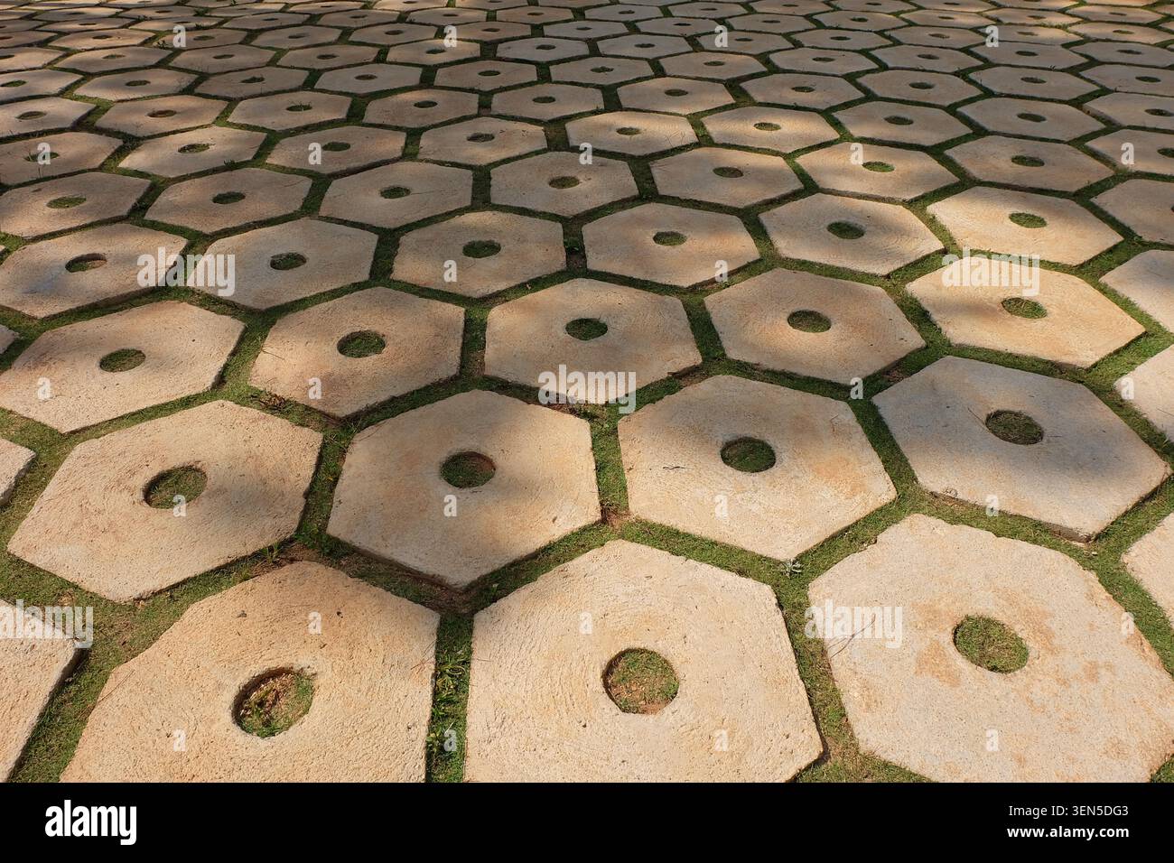 Hexagonal Concrete Paving Stones with Green Grass Pattern, Geometric ...
