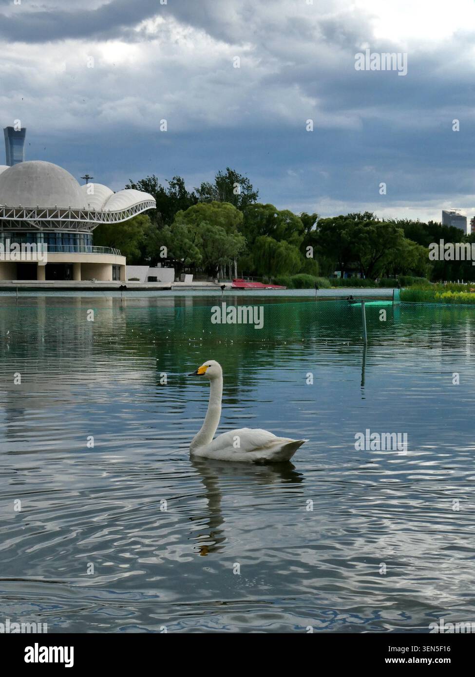 Visitors take photos of the sunset reflection at Chaoyang Park in ...