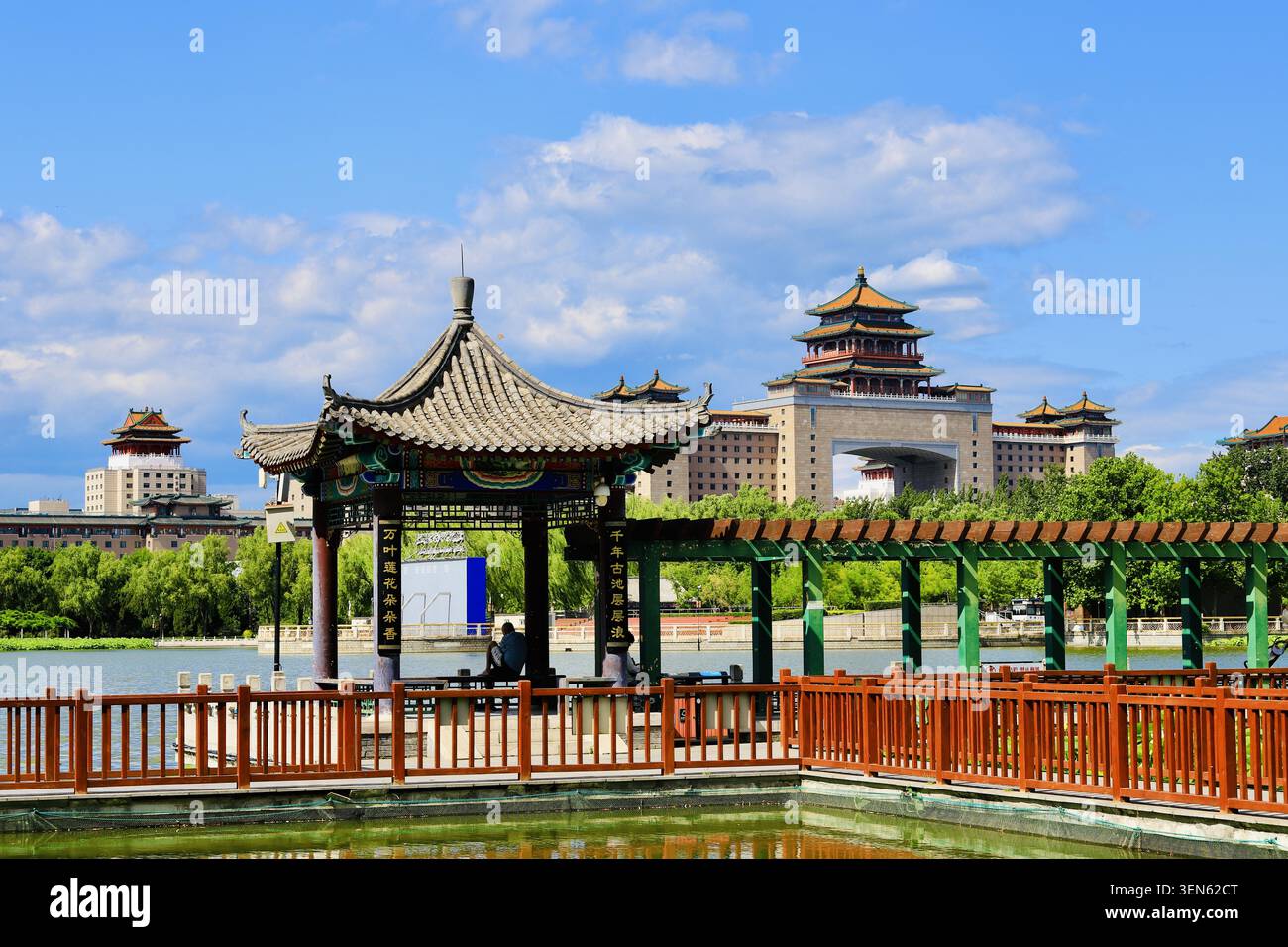 Visitors enjoy the ecological scenery at Lotus Pool Park with swans ...