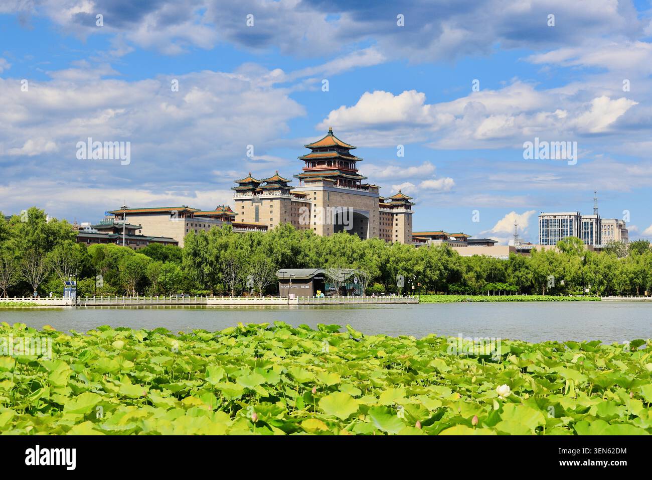 Visitors enjoy the ecological scenery at Lotus Pool Park with swans ...