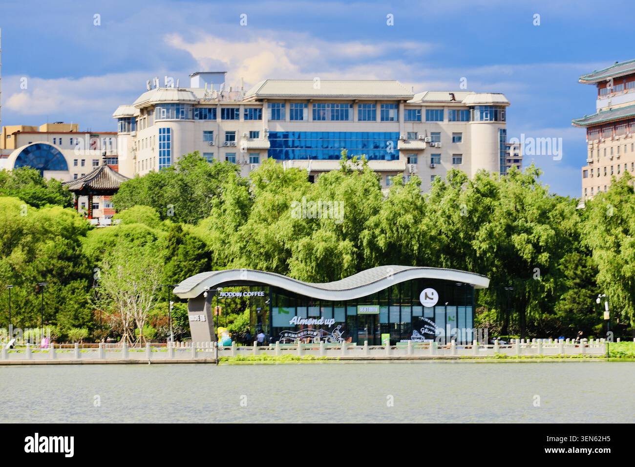Visitors enjoy the ecological scenery at Lotus Pool Park with swans ...