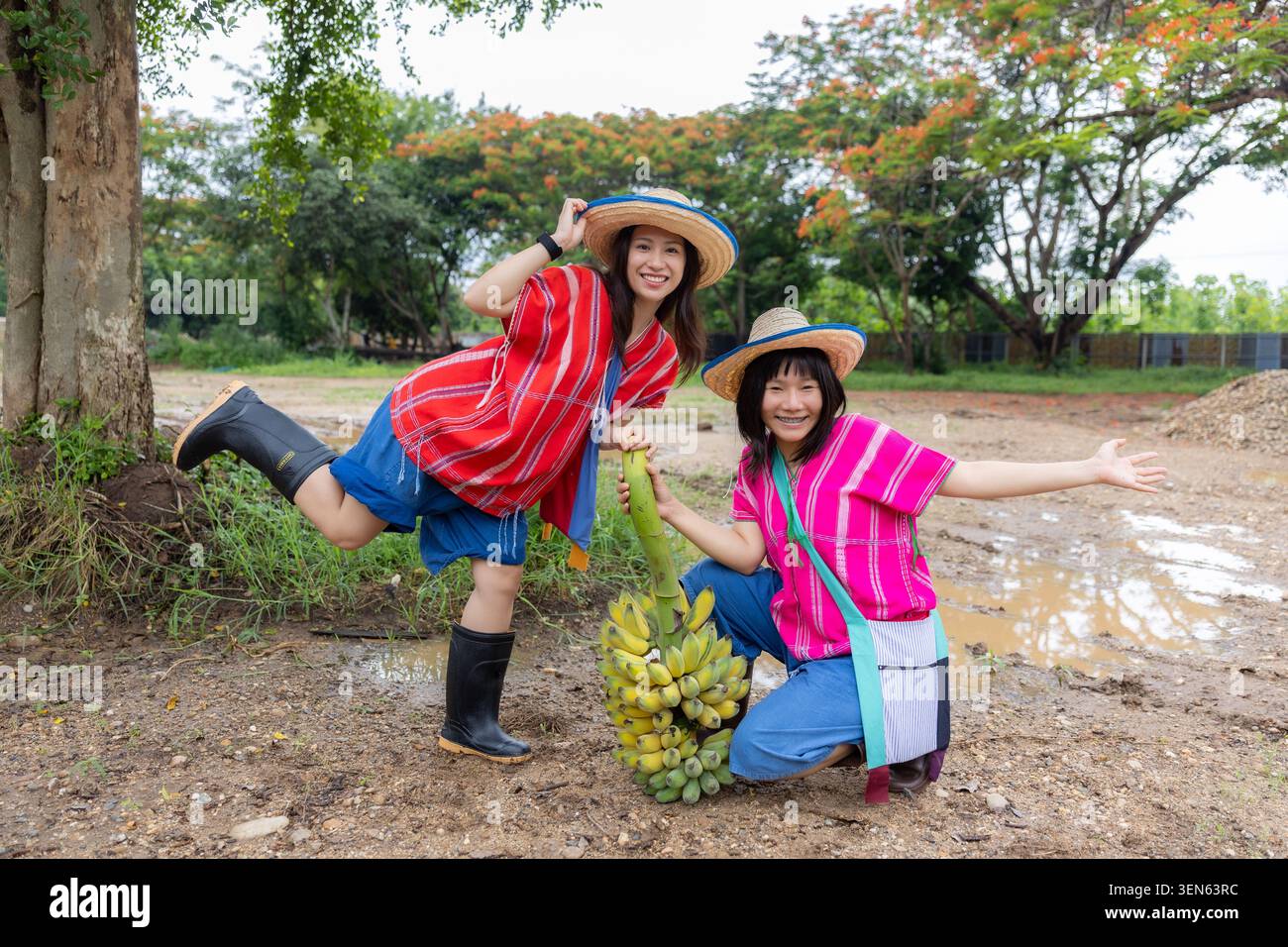 Woman farmer banana field hat traditional rural smiling boot harvest ...