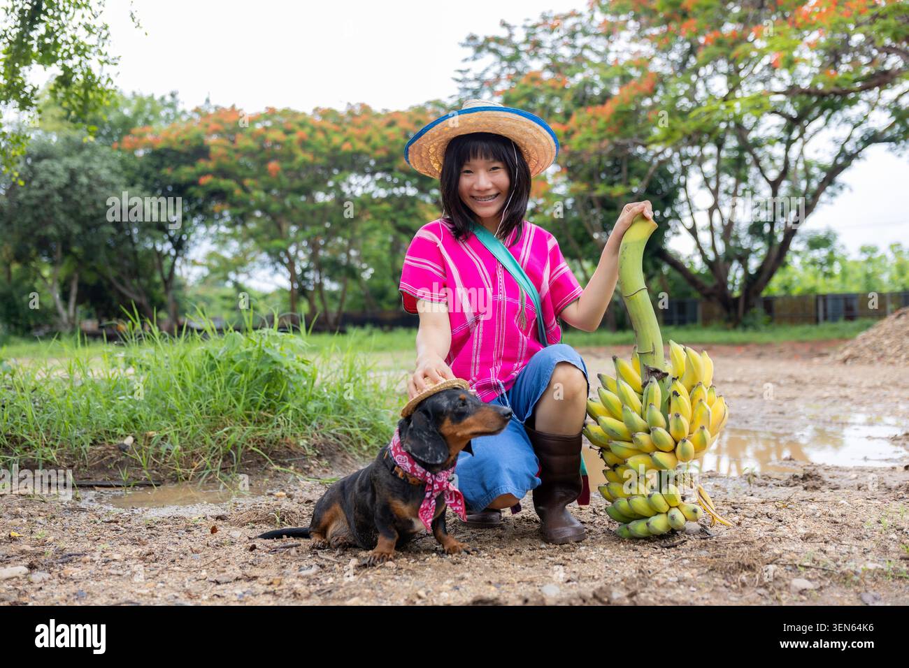Woman banana dog farm rural smile hat fruit harvest tropical Asian ...