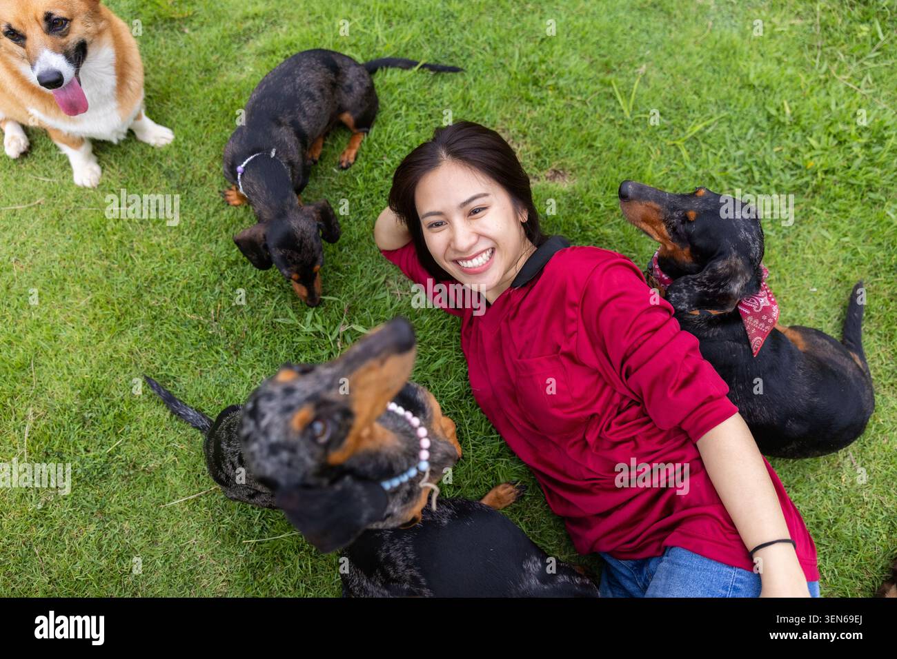 Woman dog grass smile pet outdoor lawn red happy friendship, cheerful ...