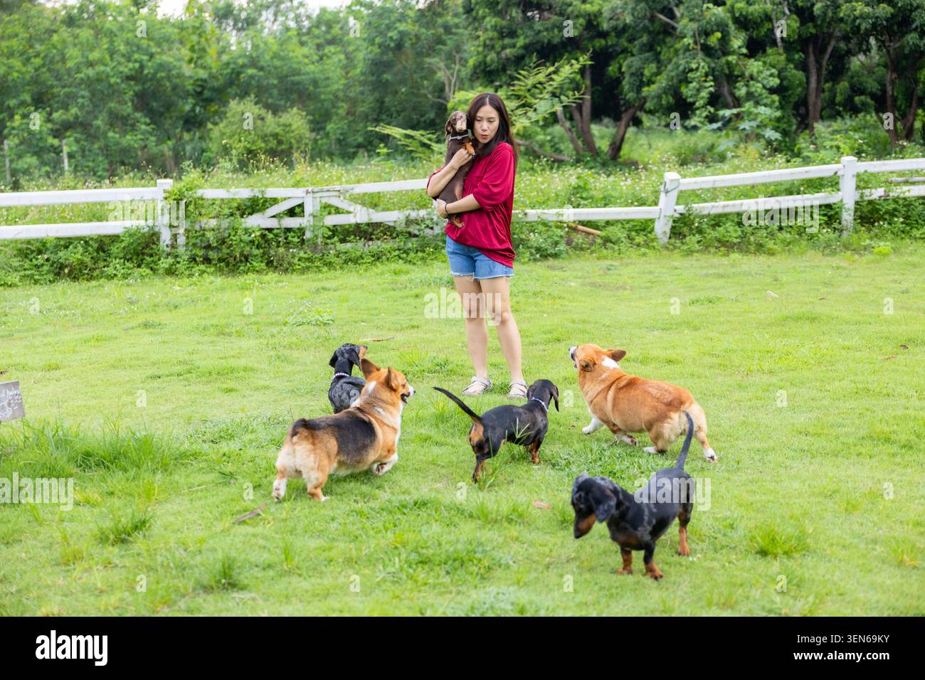 Woman dog puppy grass park fence field pet outdoor trainer gathered ...