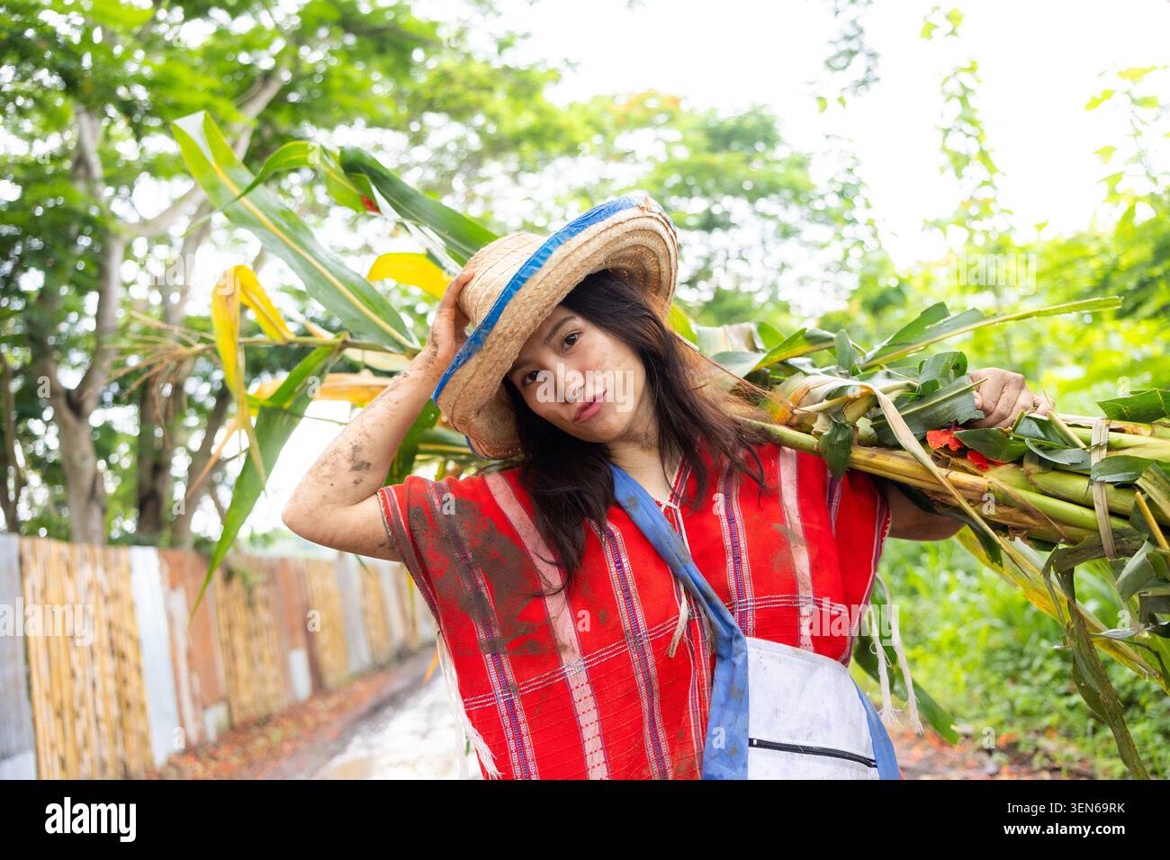 Woman straw hat bamboo shoot garden rural red shirt green leaf ...