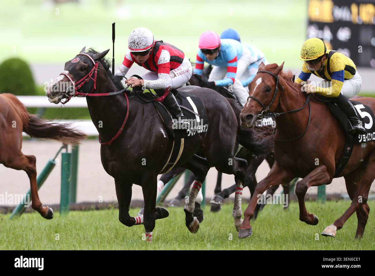 2026/06/07 HANSHIN 10R MIKI TOKUBETSU Win Liberation / Kanta Taguchi ...