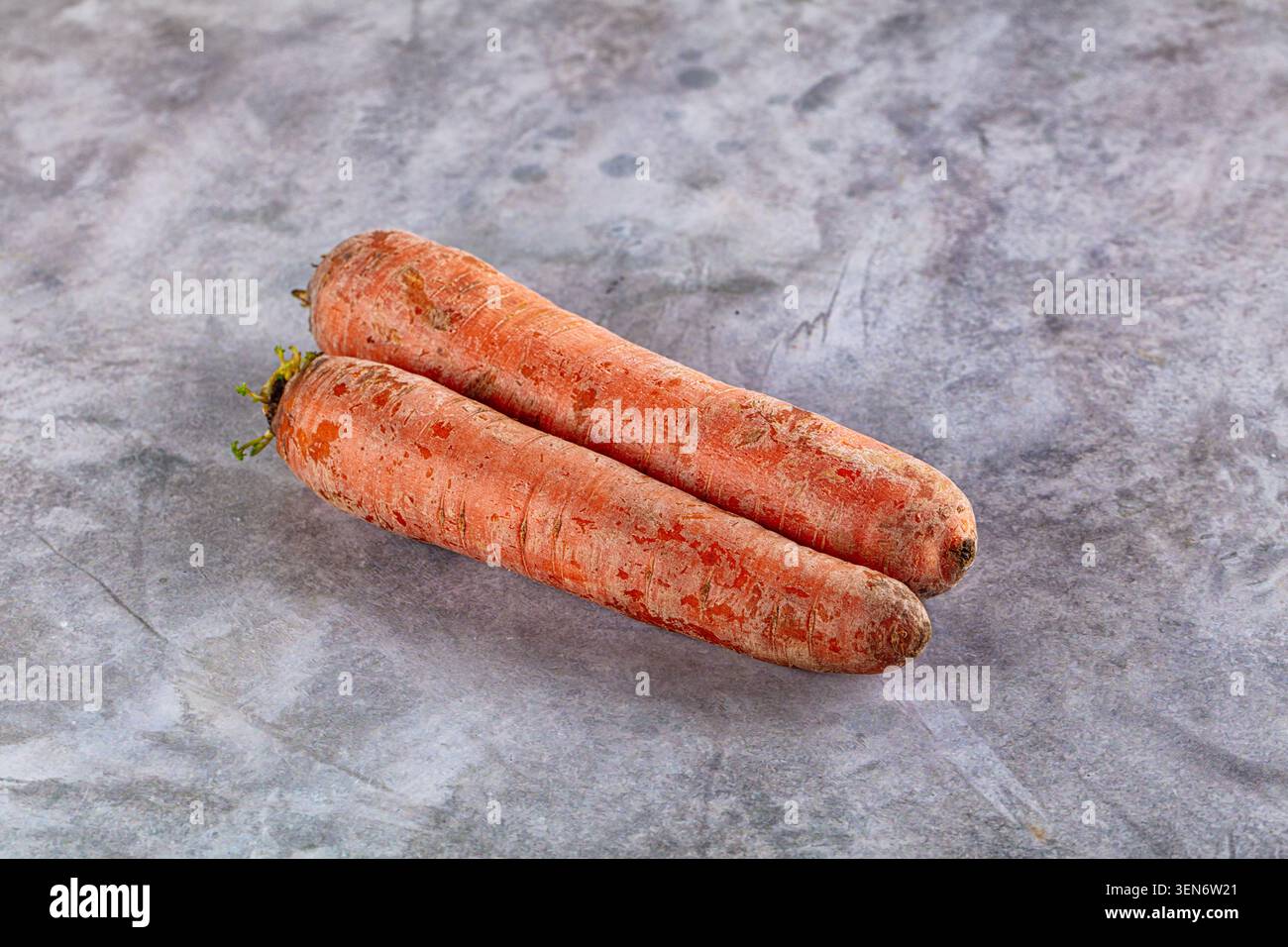 Two fresh raw carrots with green tops lying on textured gray concrete ...