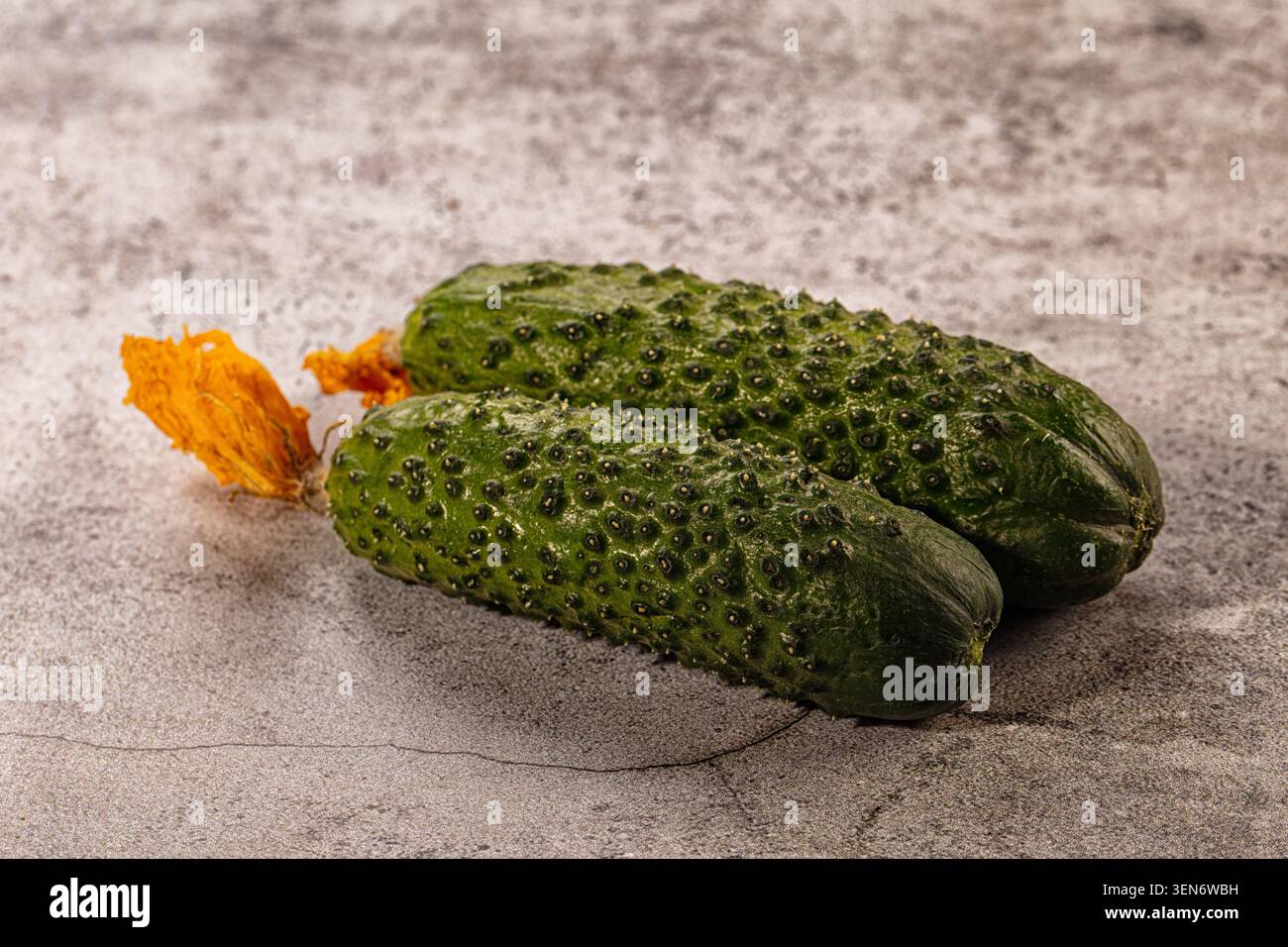 Two fresh green cucumbers with yellow flowers on grey stone background ...