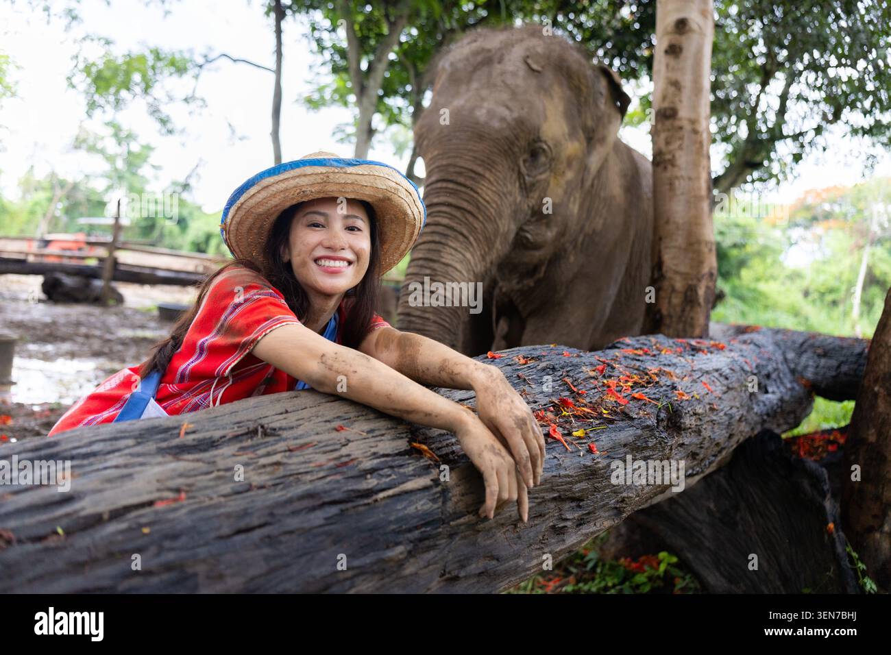 Woman elephant hat smile log forest animal travel nature red, woman ...