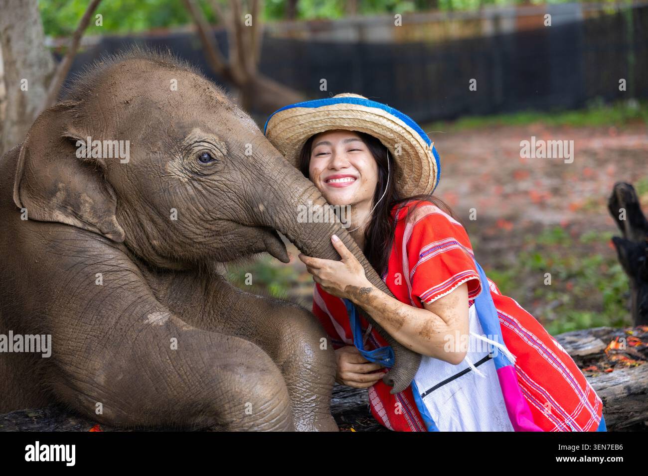 Asian woman elephant smile hat red sanctuary animal travel outdoor ...