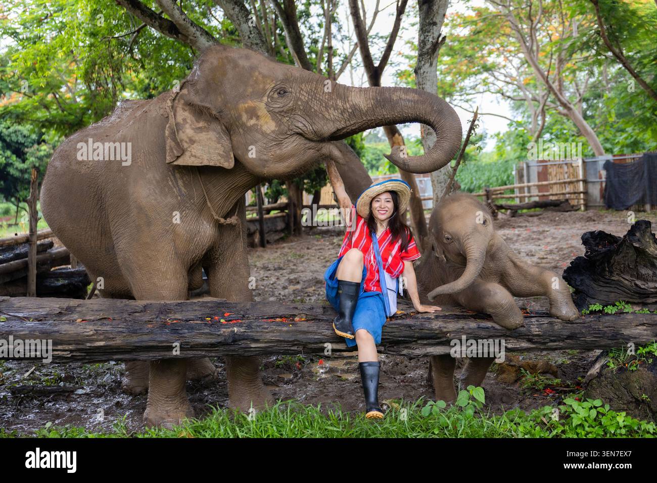 Elephant woman forest animal trunk smile sanctuary nature travel ...