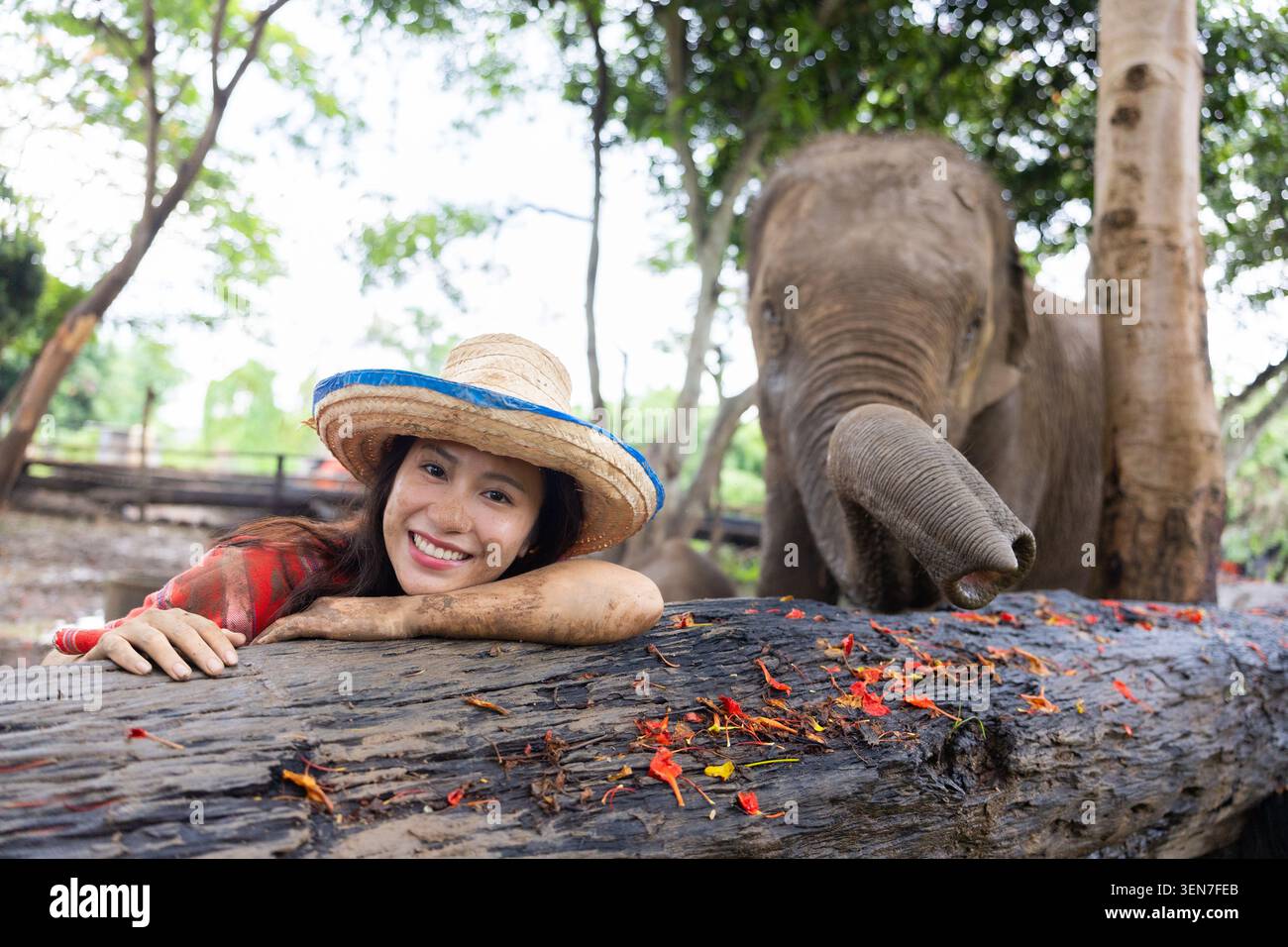 Woman elephant forest smile hat travel nature wildlife animal tourism ...