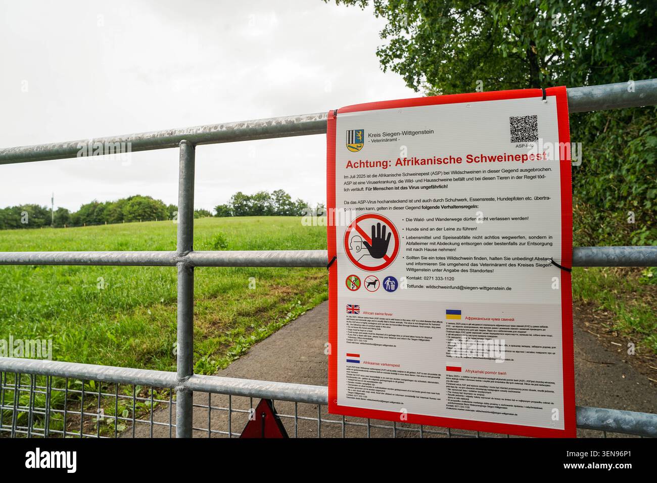 2026-06-10 Wilnsdorf Schutzzäune Afrikanische Schweinepest ASP Foto ...