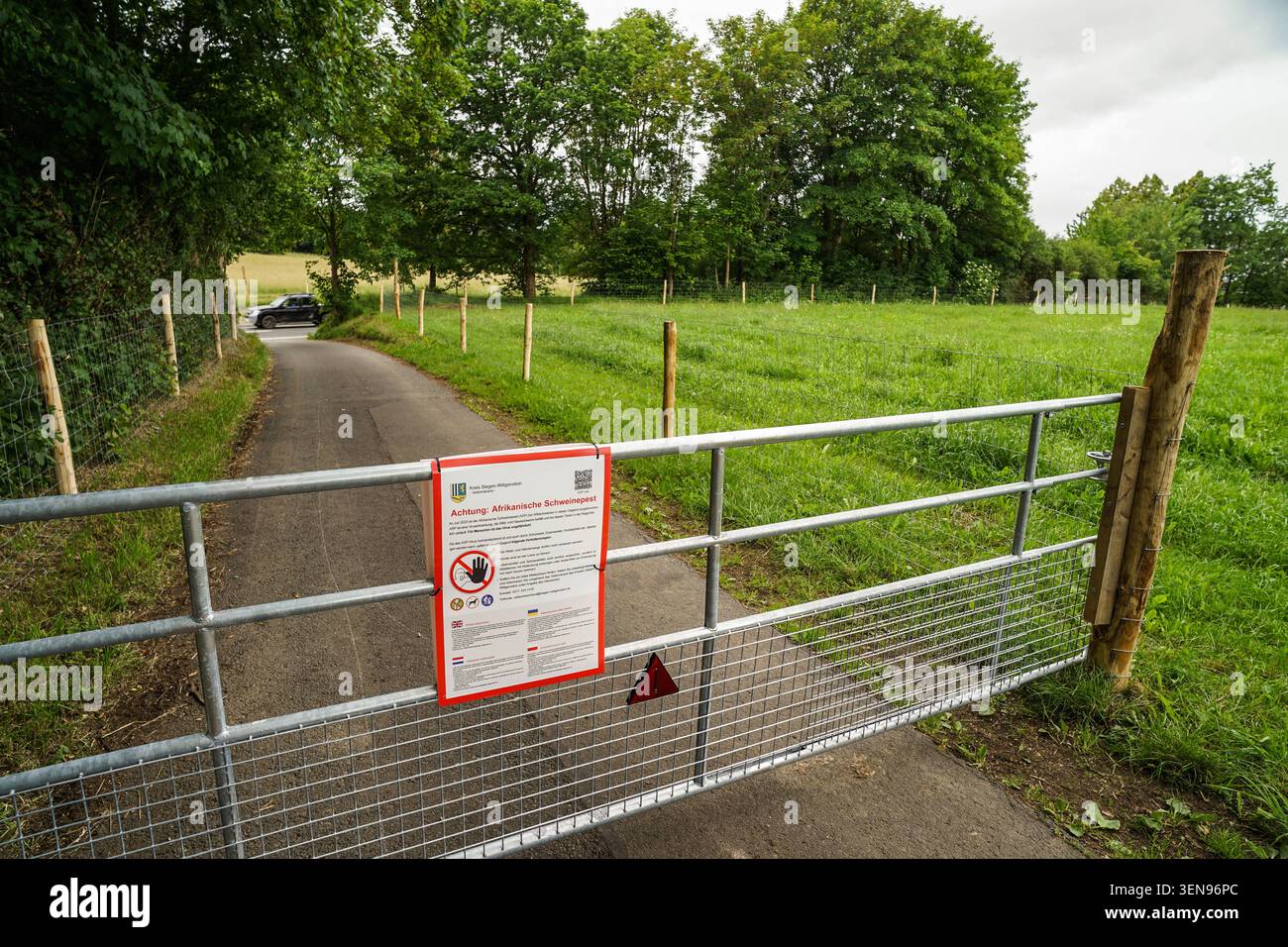 2026-06-10 Wilnsdorf Schutzzäune Afrikanische Schweinepest ASP Foto ...