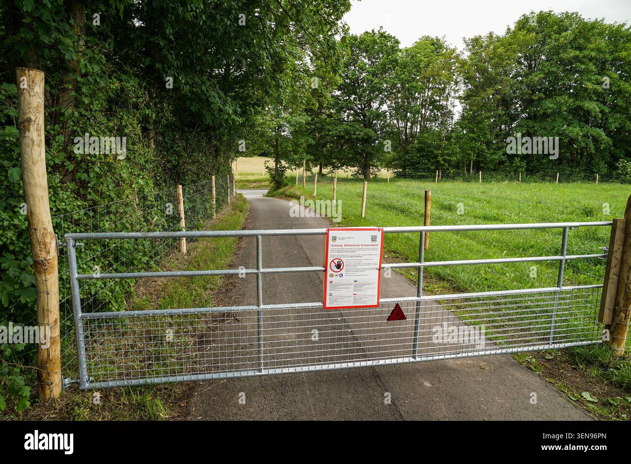 2026-06-10 Wilnsdorf Schutzzäune Afrikanische Schweinepest ASP Foto ...