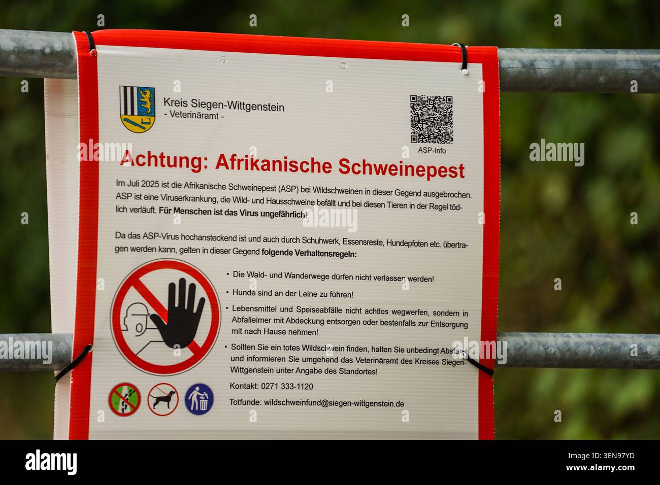 2026-06-10 Wilnsdorf Schutzzäune Afrikanische Schweinepest ASP Foto ...