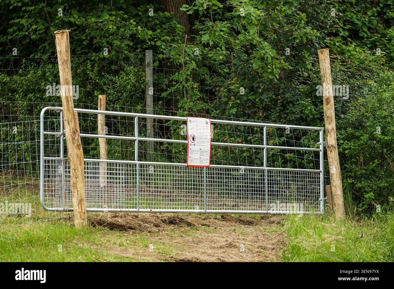 2026-06-10 Wilnsdorf Schutzzäune Afrikanische Schweinepest ASP Foto ...