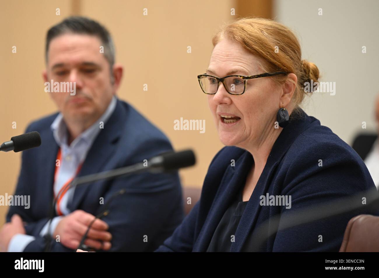 National Disability Services Director Karen Stace speaks during an ...