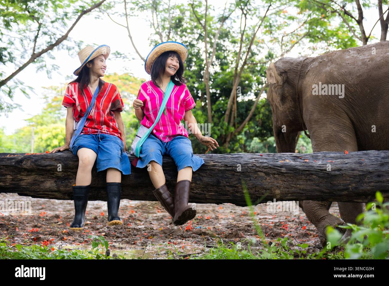 Asian woman elephant nature forest travel tourism hat boot smile, two ...