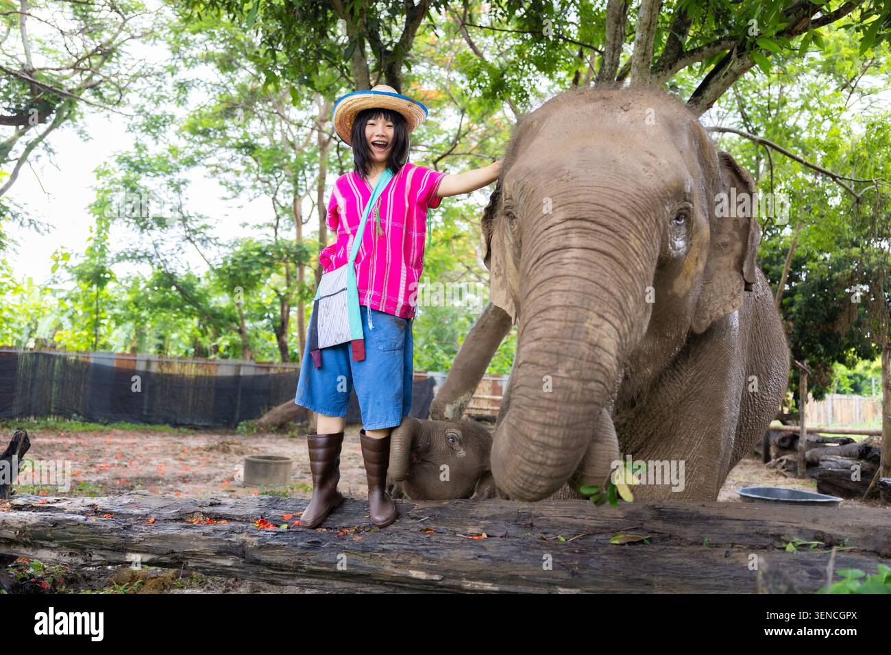 Woman elephant forest animal travel tourism hat traditional smiling ...