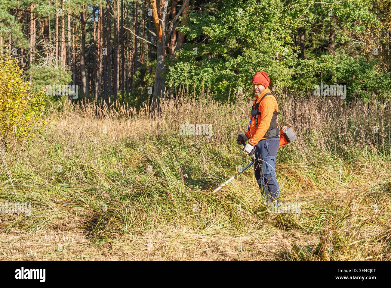 Man mowing tall grass with string trimmer in field, landscape ...
